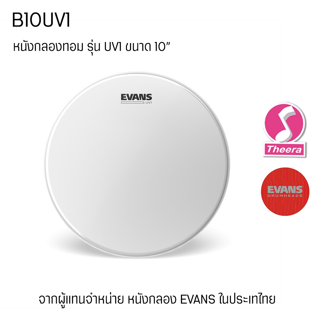 หนังกลอง Evans B UV1 ขนาด นิ้ว promo หนังสาก 1 ชั้น ตรงจากผู้แทนจำหน่ายในประเทศไทย | Shopee Thailand