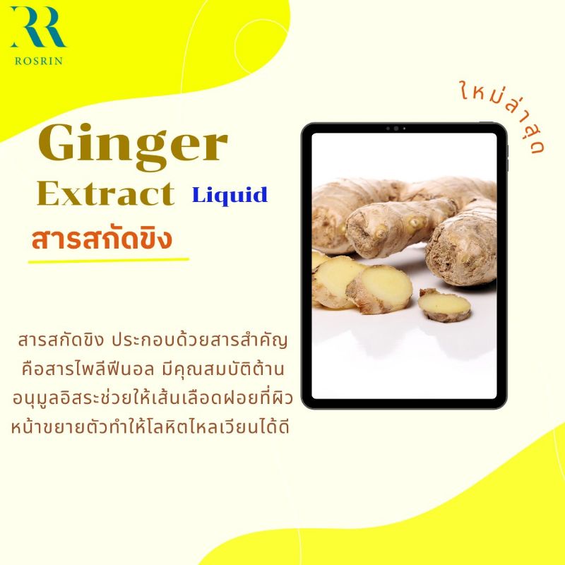 สารสกัดขิง (Ginger Extract) ขนาด 25g - 100g | Shopee Thailand
