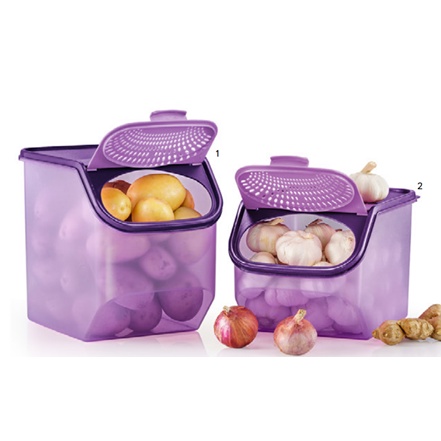 Tupperware กล่องเก็บกระเทียมระบายอากาศ Garlic N All Keeper | Shopee ...