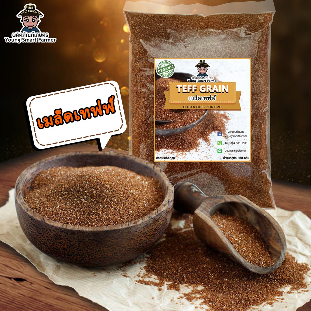 Teff grain เมล็ดเทฟฟ์ ออร์แกนิค 500 กรัม(Teff Seed) | Shopee Thailand