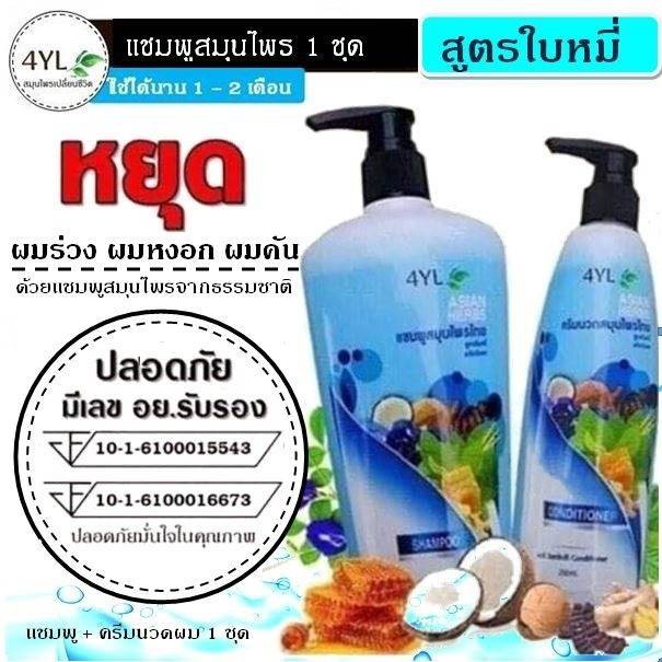 🌿(แชมพู+ครีมนวด 1 ชุด) แชมพูสมุนไพรสูตรใบหมี่ 4YL Thailand🌿สูตรขจัดรังแค กำจัดเหา ผมเสีย คัน แก้ ...