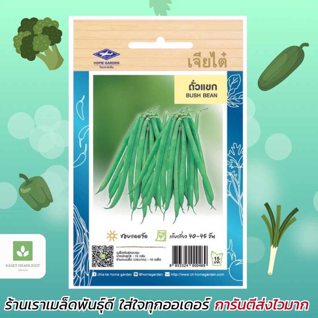 ถั่วแขก เจียไต๋ เมล็ดพันธุ์พันธุ์ถั่วแขก | Shopee Thailand