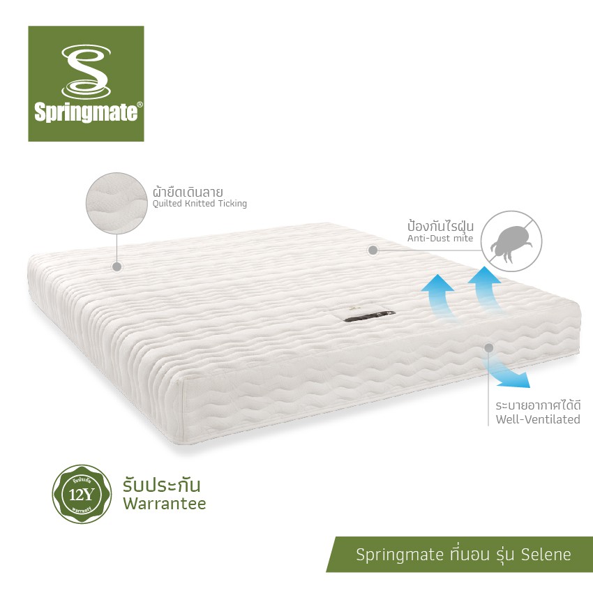 [ผ่อน 0% ส่งฟรีทั่วไทย] Springmate ที่นอนรุ่น Selene (เซลีน) แถมฟรี !!! หมอนหนุนสุขภาพกันไรฝุ่น ...