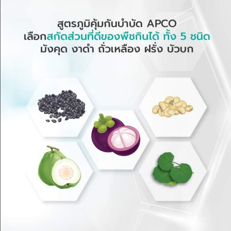 การ์ซีเนีย Garcinia 90 แคปซูล (ผลิตใหม่ 04/2567 หมดอายุ 04/2570) APCO Bim 100 | Shopee Thailand