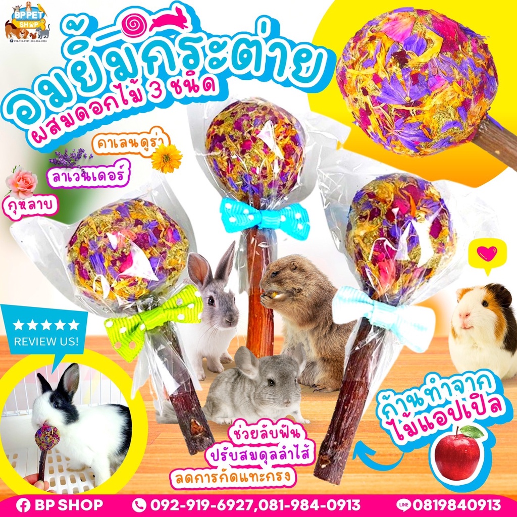 (IPshop) คุกกี้กระต่าย คุ้กกี้หญ้ากระต่าย ขนมกระต่าย อมยิ้มหญ้าแห้ง ...