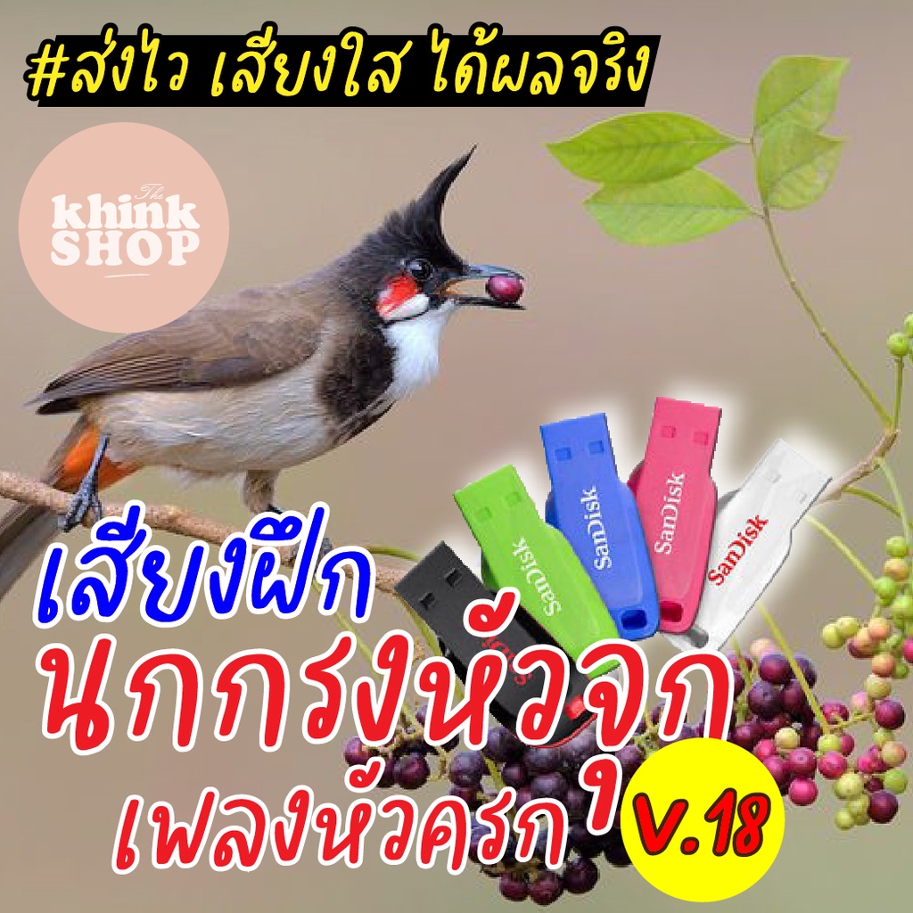 เสียงฝึกนกกรงหัวจุก เพลงหัวครก แฟลชไดร์ฟเสียงฝึกนกกรงหัวจุก หัวครก เมม ...