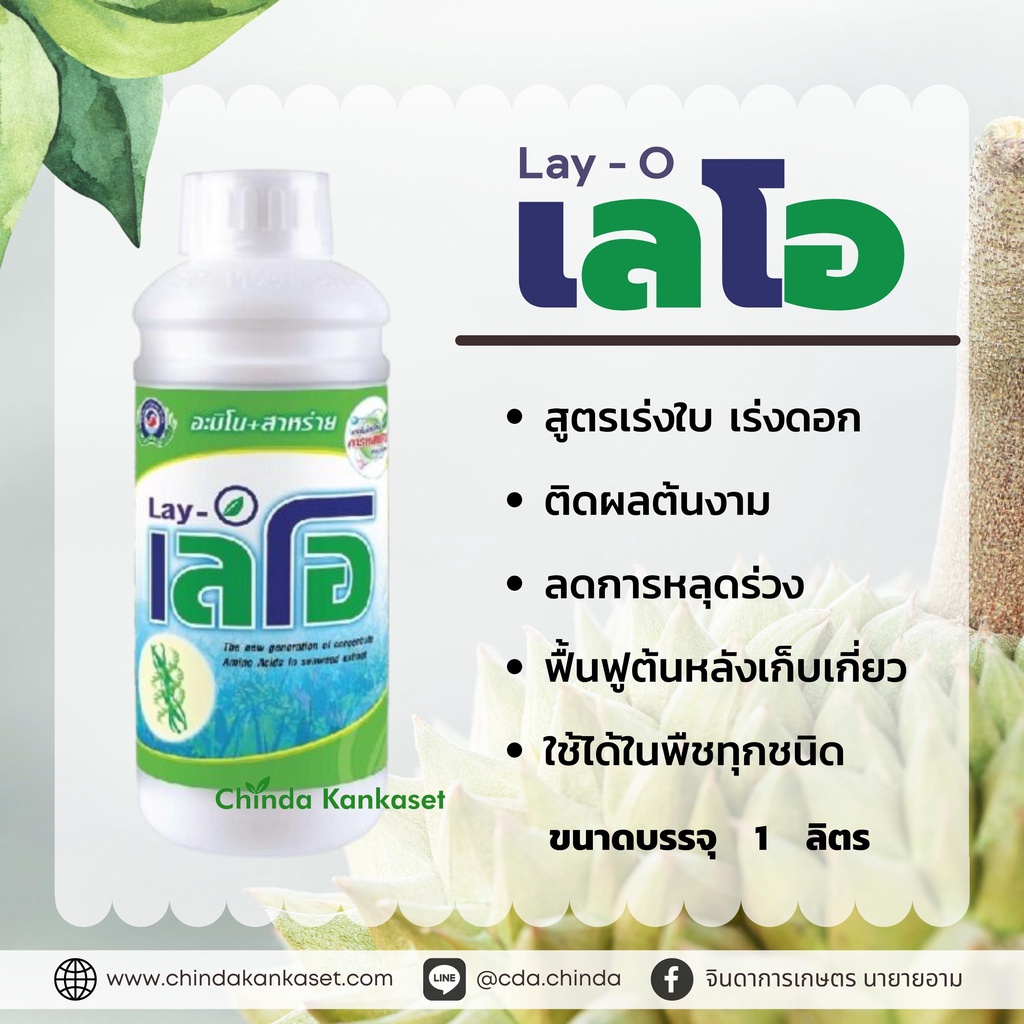 เลโอ (Lay-o) ขนาด 1 ลิตร | Shopee Thailand