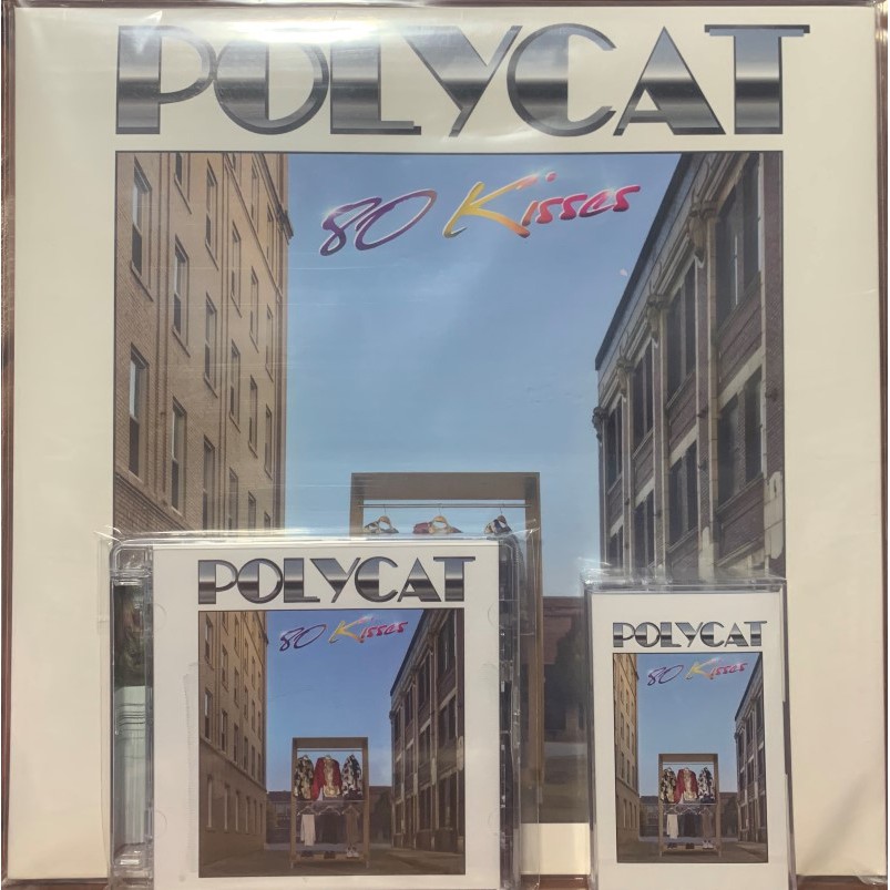 แผ่นเสียง วง POLYCAT "Limited Edition" | Shopee Thailand