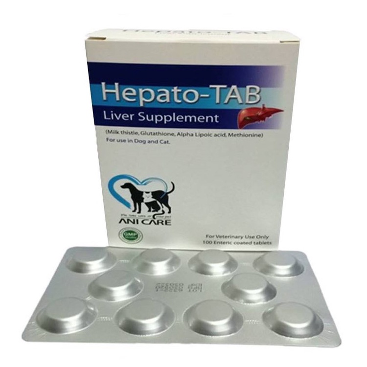 [กล่อง 100 เม็ด] Hepato Tab บำรุงตับสุนัข บำรุงตับแมว [หมดอายุปี 2026 ...