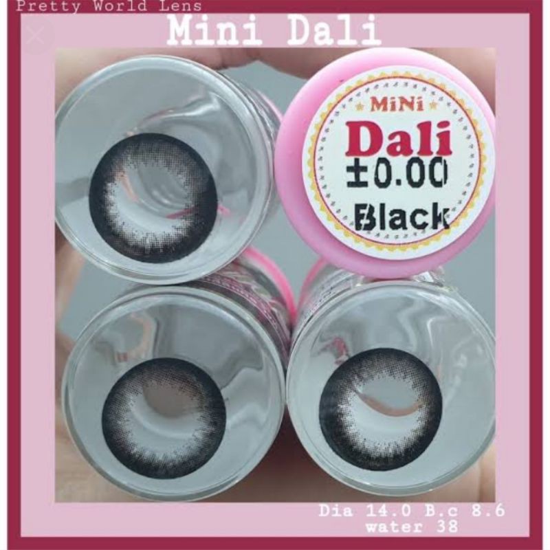Mini Dali black//winklens | Shopee Thailand