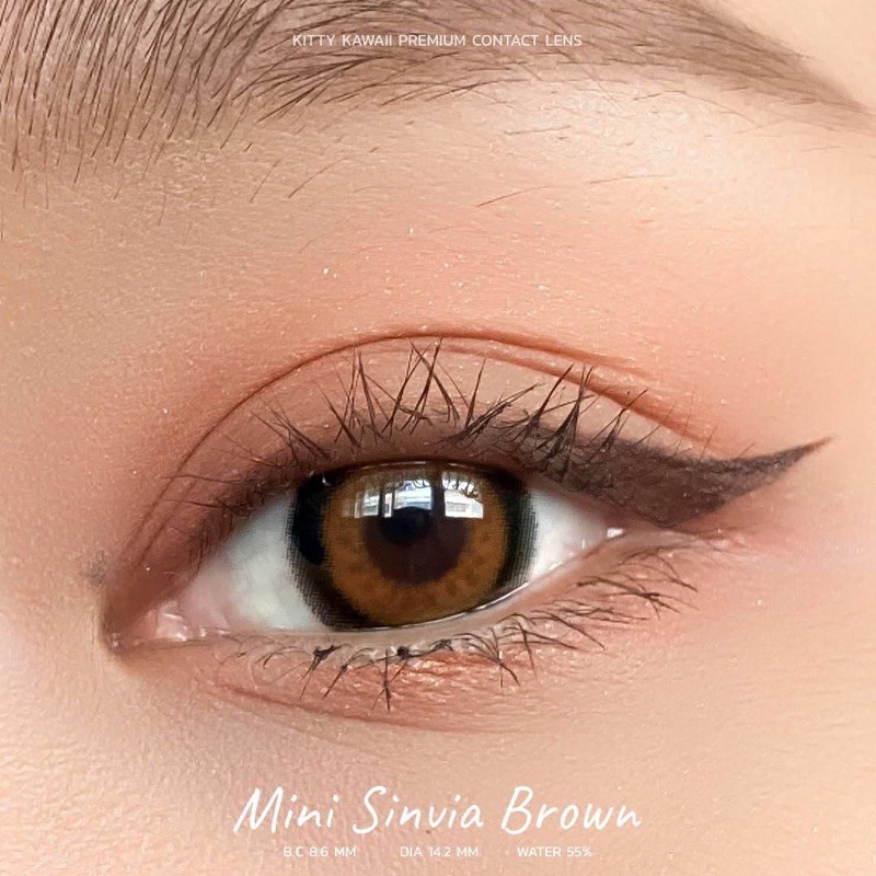Mini Sinvia brown พร้อมส่งค่าสายตา (kittykawaii) | Shopee Thailand