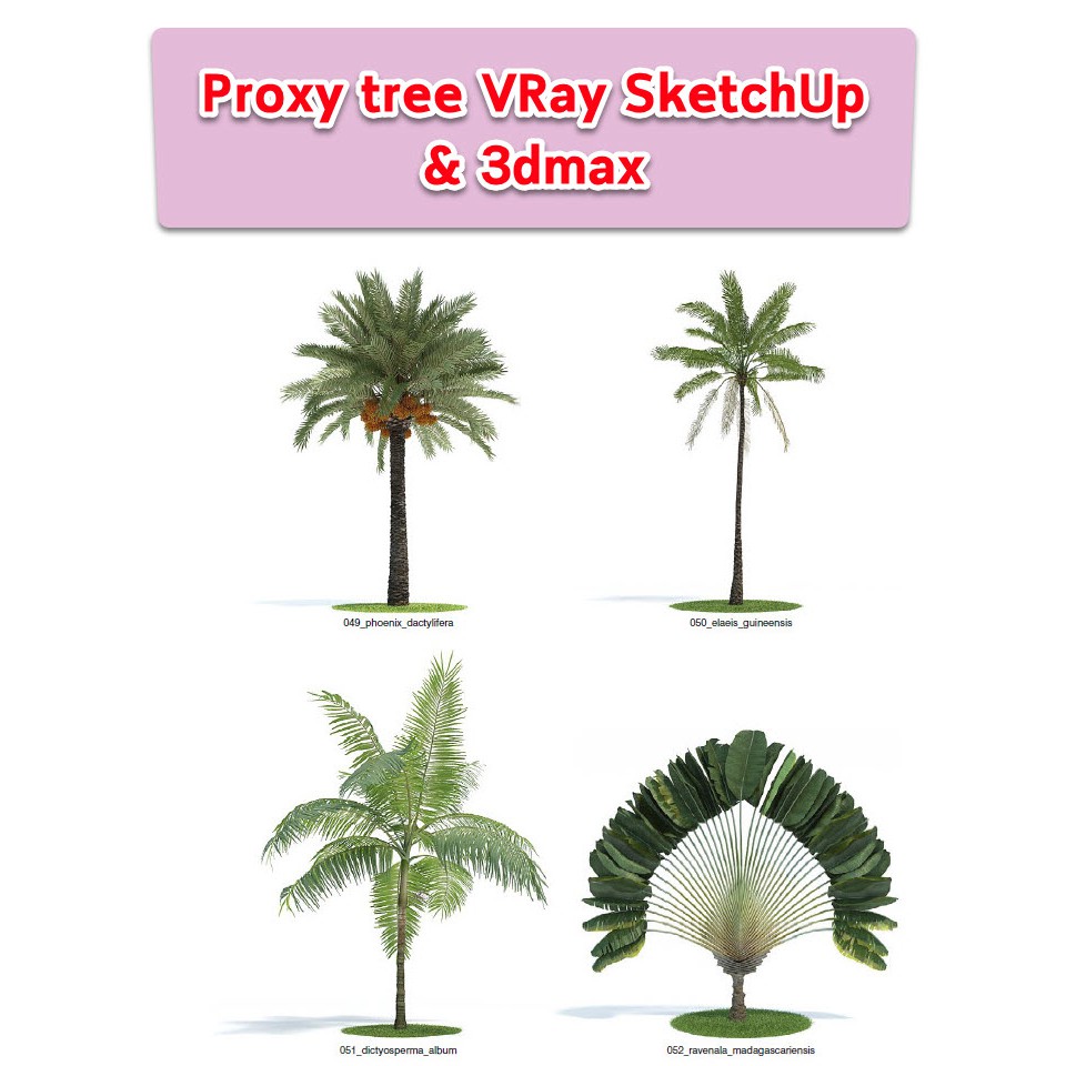 Proxy tree for VRay SketchUp & 3dMax (Archmodel v.61) | Shopee Thailand