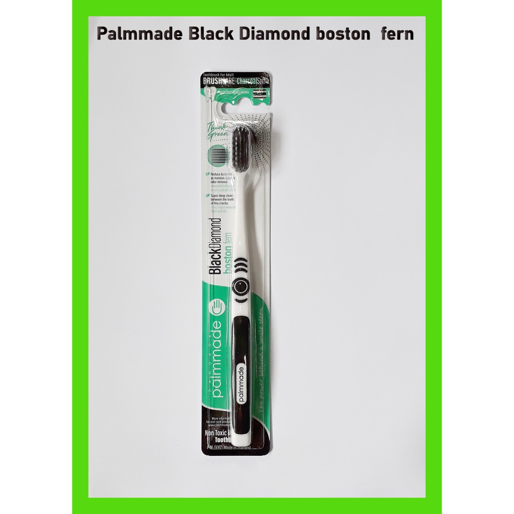 Palmmade Black Diamond Boston fern ปาล์มเมด แบล็ค ไดมอน เฟิร์น บอสตัน ...