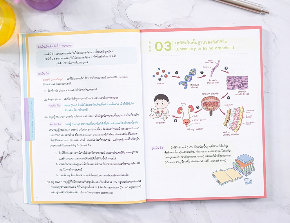 Thinkbeyond Book(ธิงค์บียอนด์ บุ๊คส์)หนังสือ Note ม.ปลาย ติวเข้มก่อนสอบ | Shopee Thailand