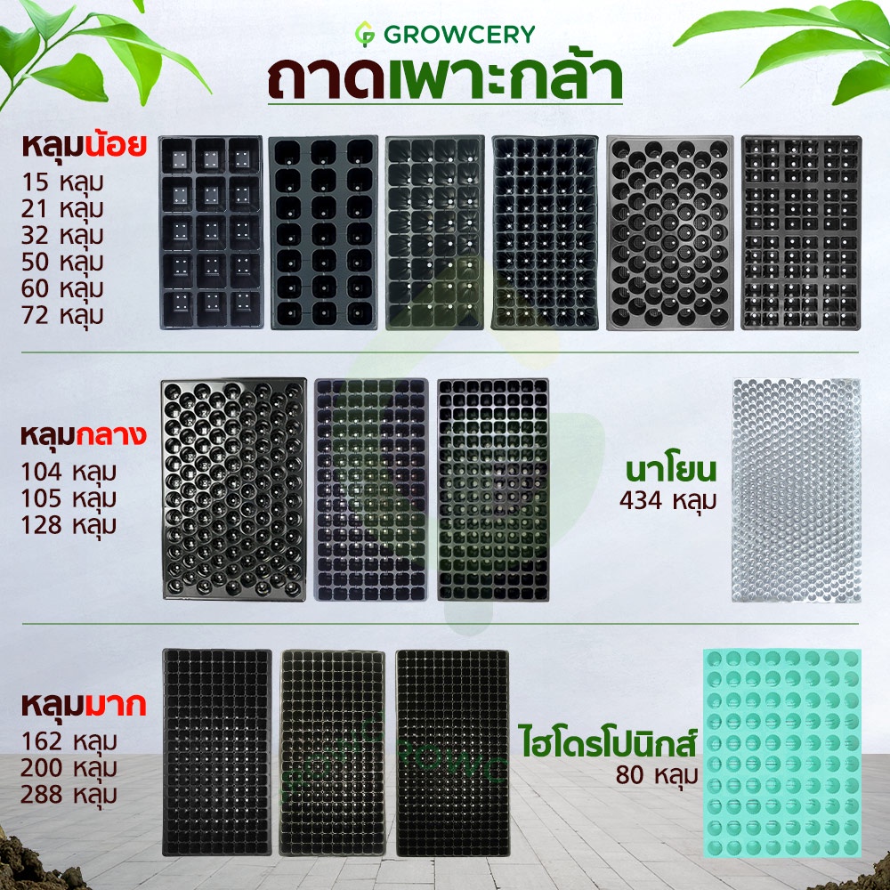 [G] ถาดเพาะกล้า เพาะปลูก เพาะเมล็ด เพาะชำ หลากหลายขนาด คุณภาพดี ราคาโดนใจ โดย GROWCERY | Shopee ...