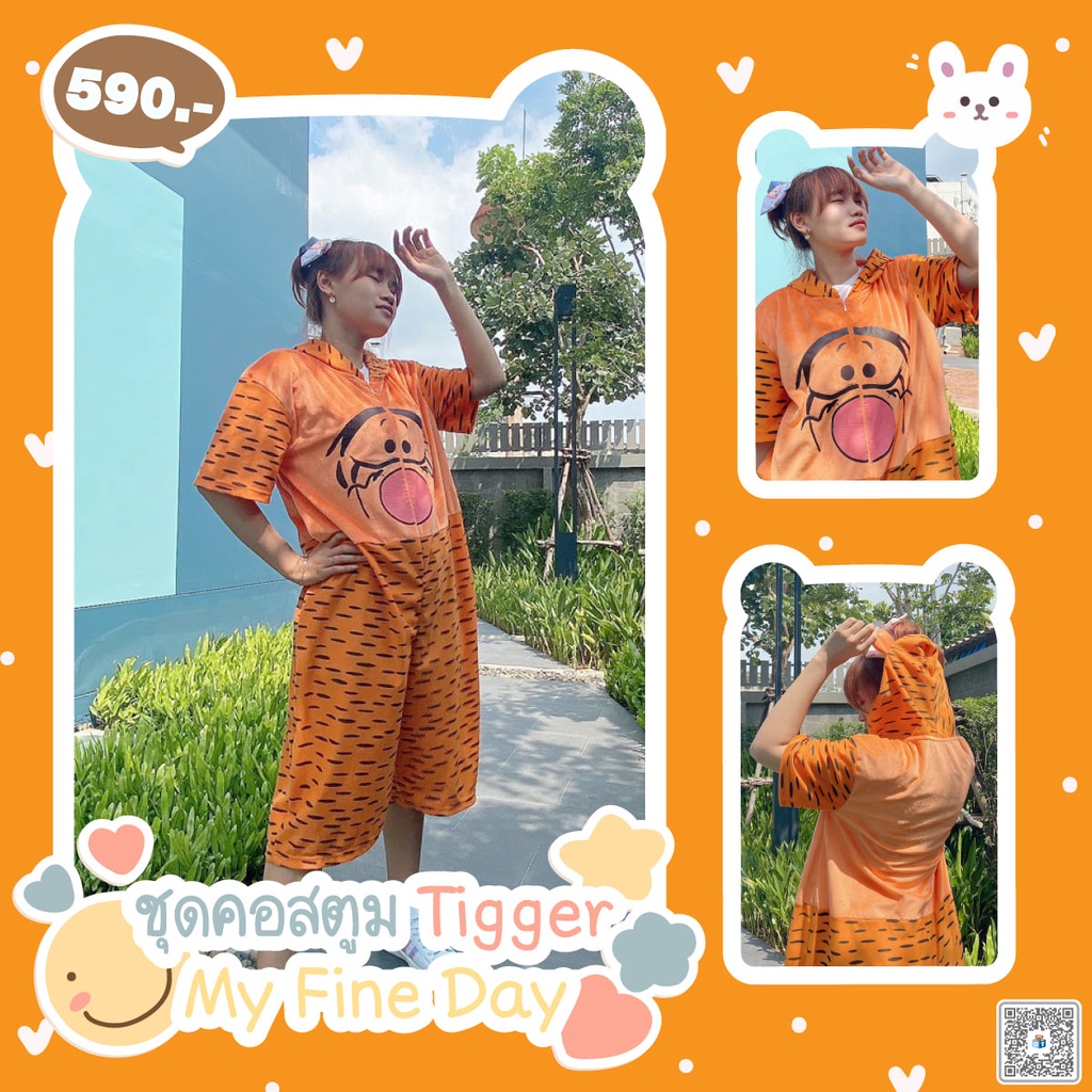 ชุดคอสตูม Disney (ชุดที่ 1) ลิขสิทธิ์แท้ / คอสตูม Pooh Piglet Eeyore ...