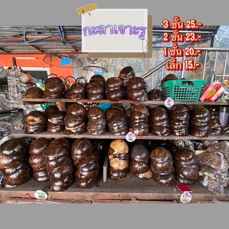 กะลามะพร้าวขัดเคลือบเงาเจาะรูรอบกะลา ทำกะลาโมบายหอย | Shopee Thailand