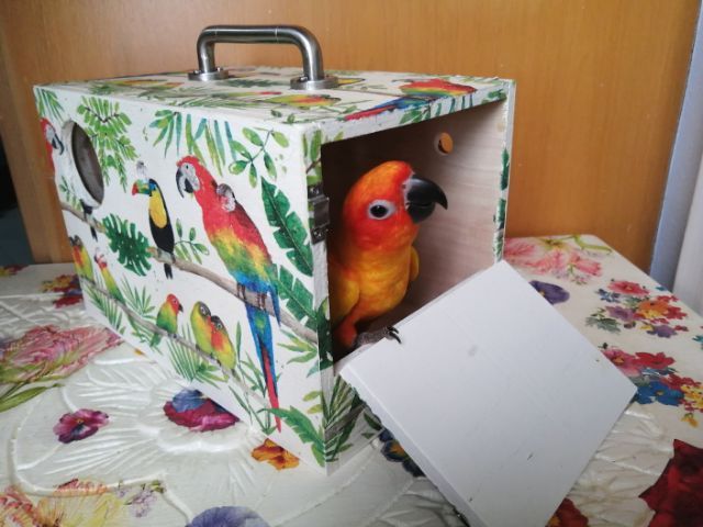 กล่องพกพาสัตว์เลี้ยงS กล่องพกพานก กล่องใส่นก ขนาดเล็ก | Shopee Thailand