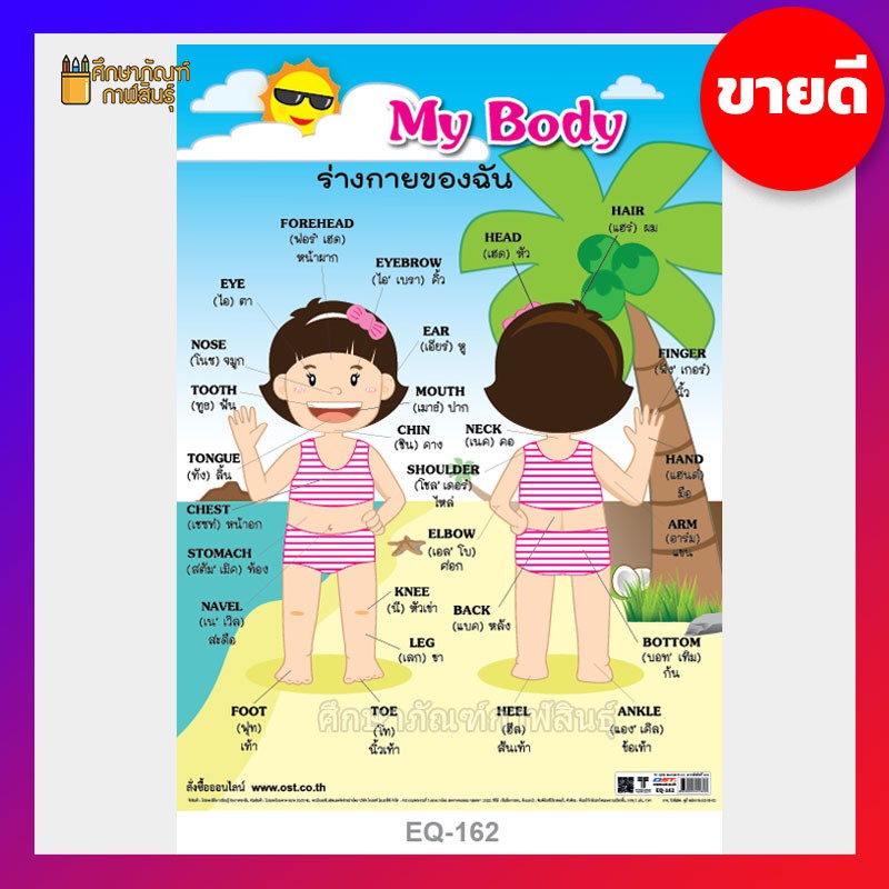 My Body ร่างกายของฉัน (หญิง) 2 ภาษา #EQ-162 ภาพโปสเตอร์ โปสเตอร์ คำ ...