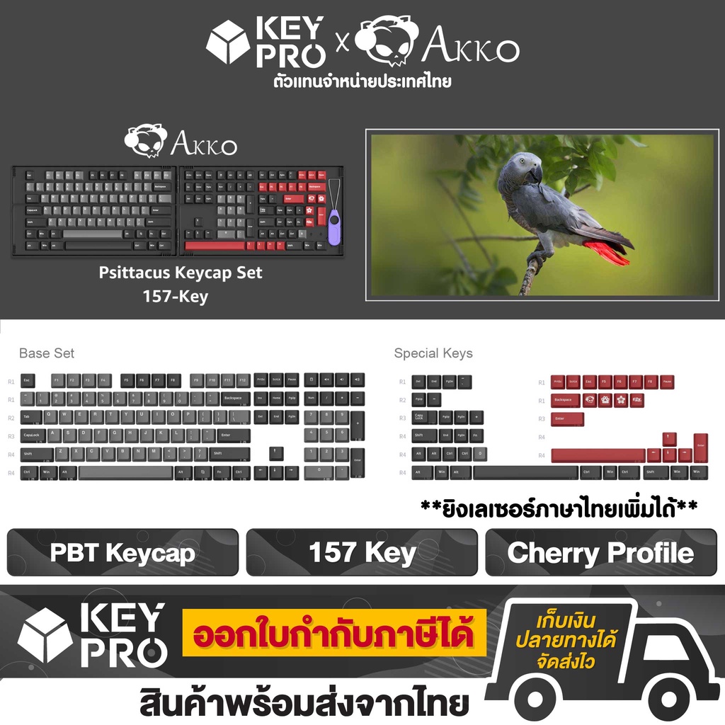 ปุ่มคีย์บอร์ด AKKO PBT Psittacus Keycap คีย์แคป 157 ปุ่ม Cherry Profile ...