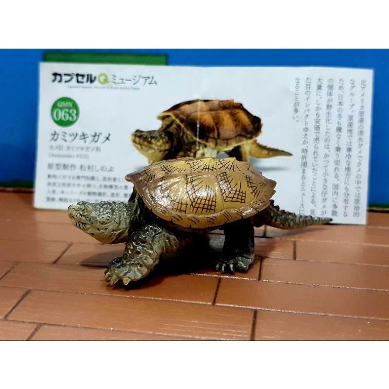Gashapon Common Snapping Turtle Figure Capsule Q Museum Foreign ...