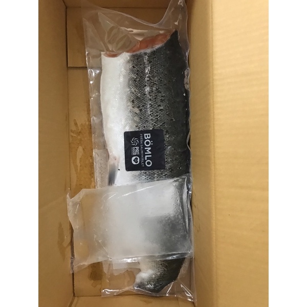 Pre-rigor ปลาแซลมอนนอร์วีเจียนพรีเมี่ยมแล่สด ครึ่งตัว ราคากิโลกรัมละ ...