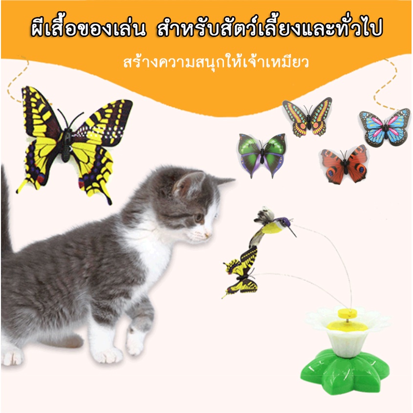 MG-254 ของเล่นแมว ผีเสื้อบิน ผีเสื้อล่อแมว ใส่ถ่าน AAA 1 บินอัตโนมัติ ...
