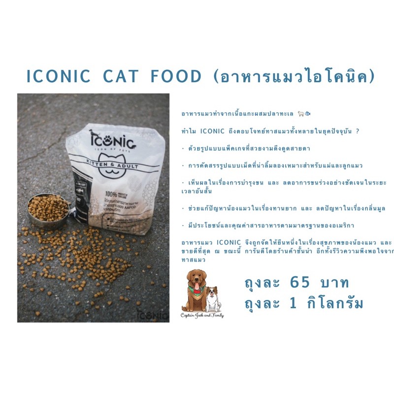 iconic cat food อาหารแมวไอโคนิค อาหารแมวแบ่งขายถุงละ1กิโล | Shopee Thailand