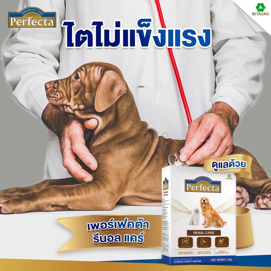 อาหารสุนัข Perfecta (เพอเฟคต้า) สูตรพิเศษ มี 3สูตร 1. Renal Care 2kg 2 ...