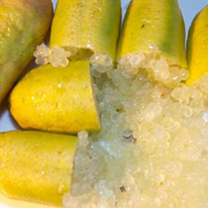 ต้นมะนาวนิ้วมือ มะนาวคาเวียร์ Finger lime พันธุ์ YELLOW LIMONET แท้100% ...