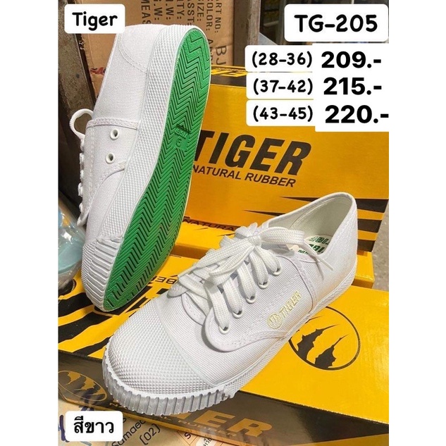A TG205 รองผ้าใบนักเรียนแบบผู้เชือก ไทเกอ TIGER 205 สีขาว มีครบ ดำ ขาว ...