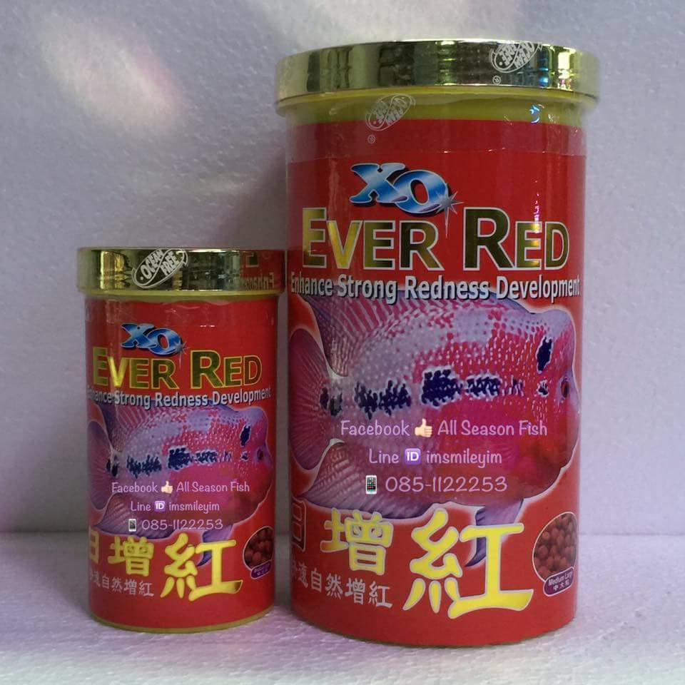 OCEAN FREE > XO Ever Red (แดง) อาหารปลาหมอสี สูตรเร่งสี | Shopee Thailand