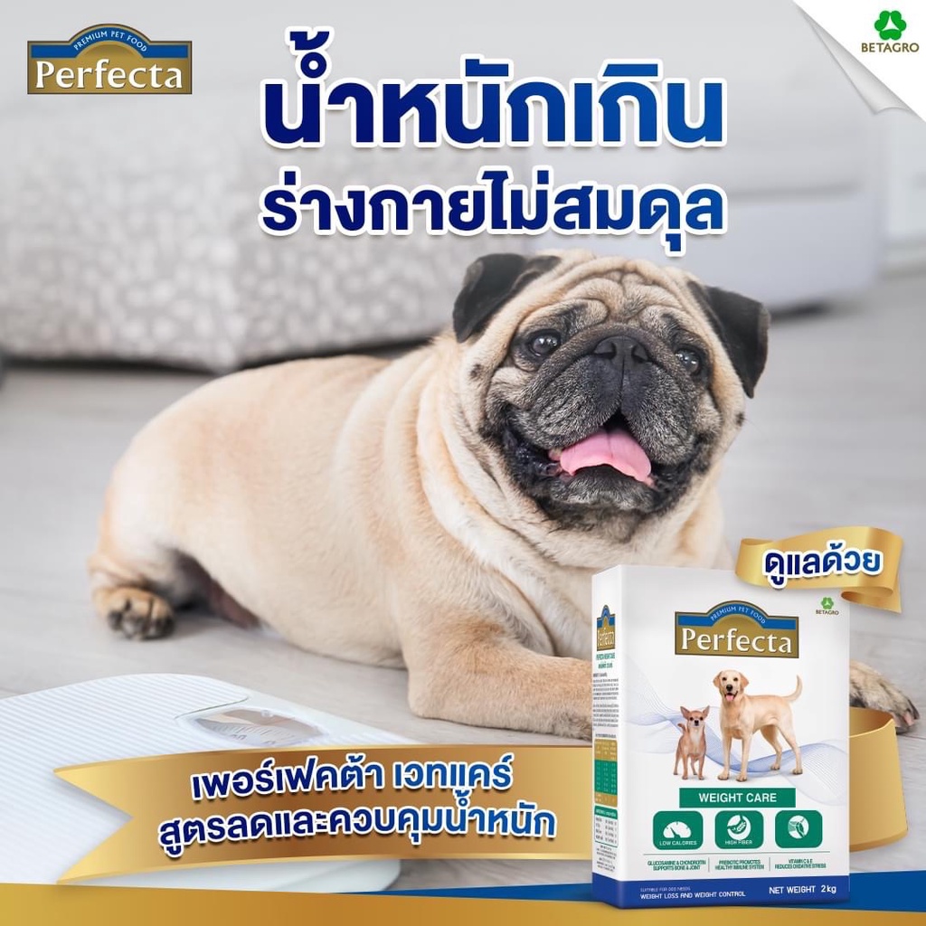 อาหารสุนัข Perfecta (เพอเฟคต้า) สูตรพิเศษ มี 3สูตร 1. Renal Care 2kg 2 ...