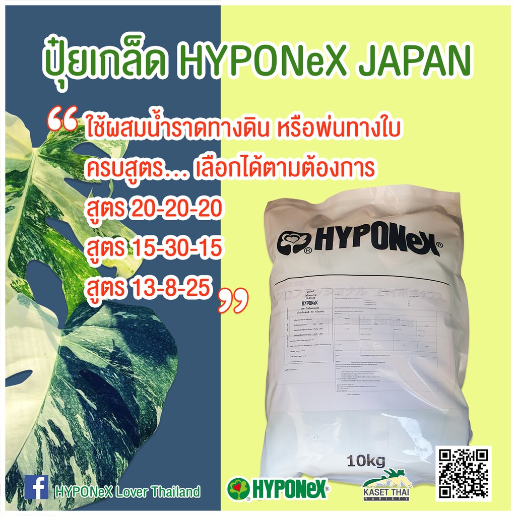 ปุ๋ยเกล็ด HYPONeX JAPAN (10 กิโลกรัม) ปุ๋ยคุณภาพสูงจากประเทศญี่ปุ่น ...