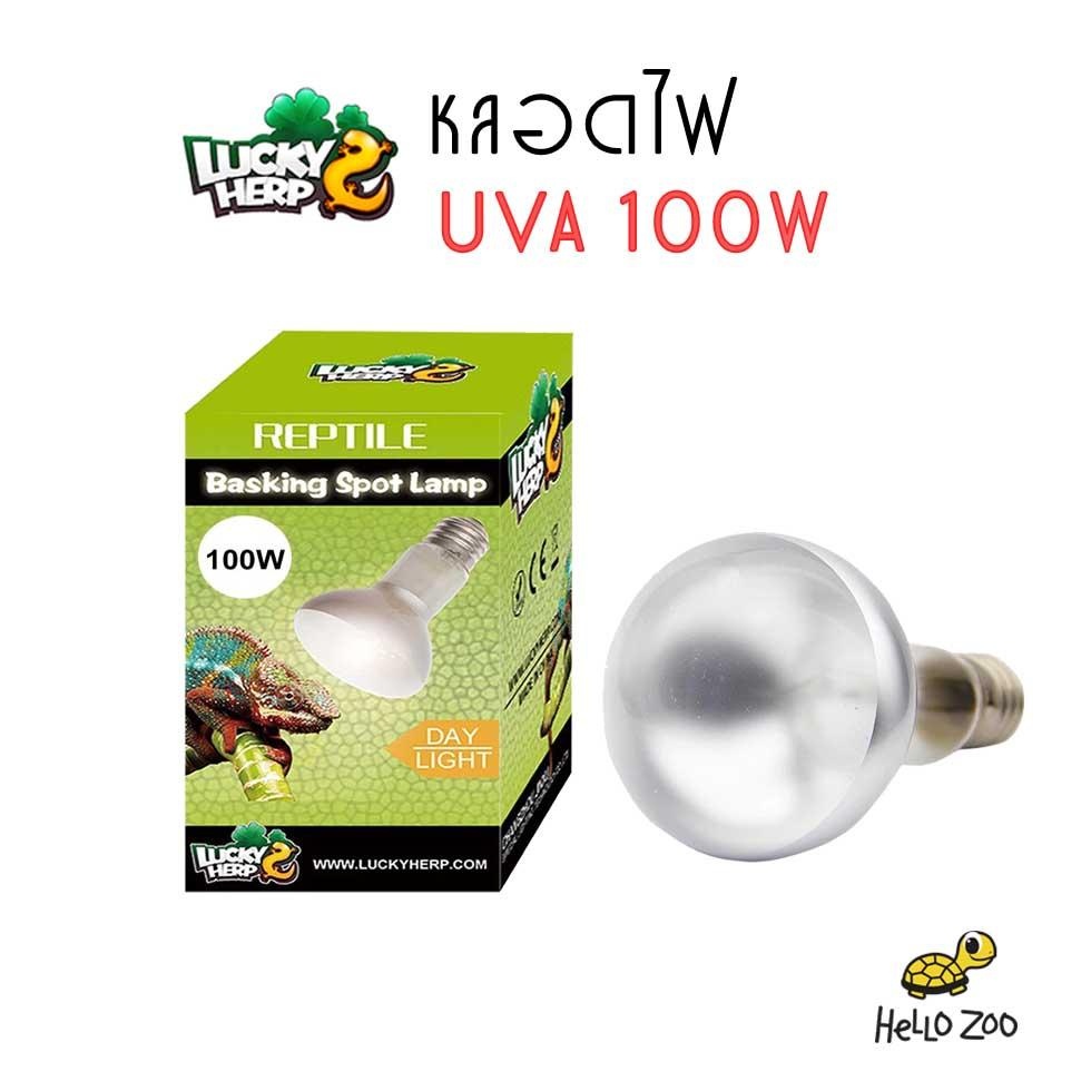 Lucky Herp หลอดไฟ UVA 100W สำหรับกกไฟกลางวัน (กล่องเขียว) | Shopee Thailand