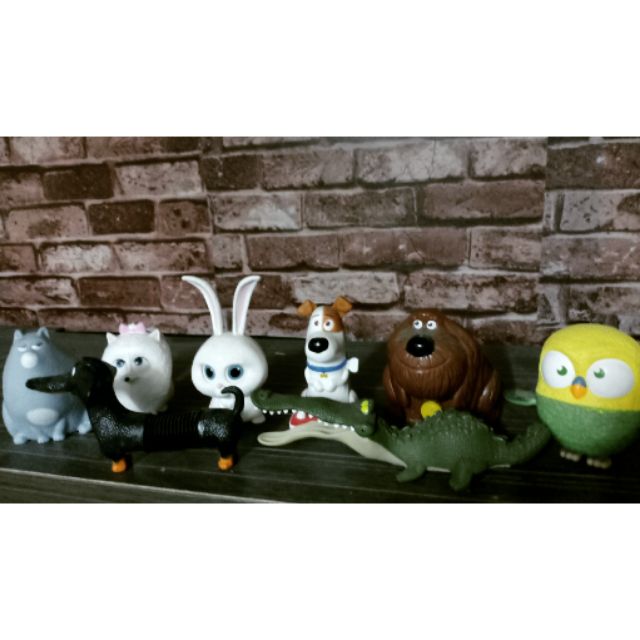 Pets | Shopee Thailand
