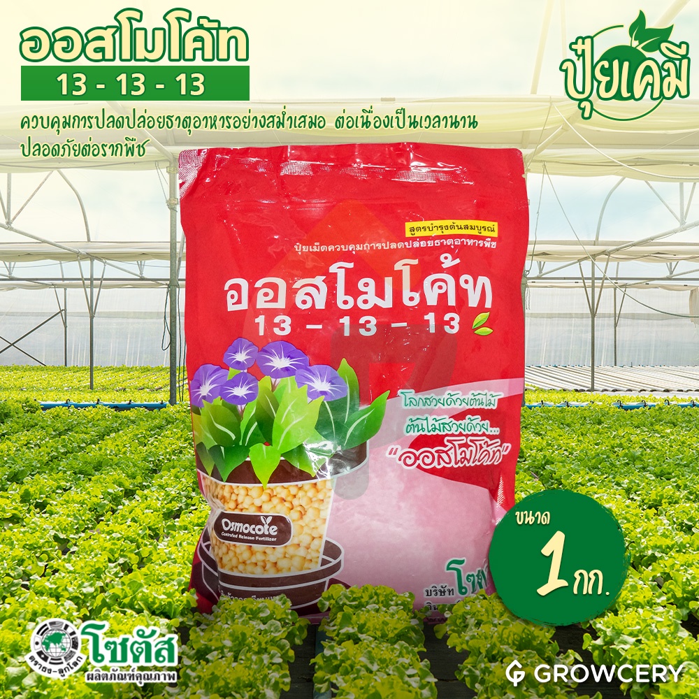 [G] ออสโมโค้ท 13-13-13 สูตรบำรุงต้นสมบูรณ์ ปลอดภัยต่อรากพืช ยี่ห้อ โซตัส ขนาด 1 กก. โดย GROWCERY ...