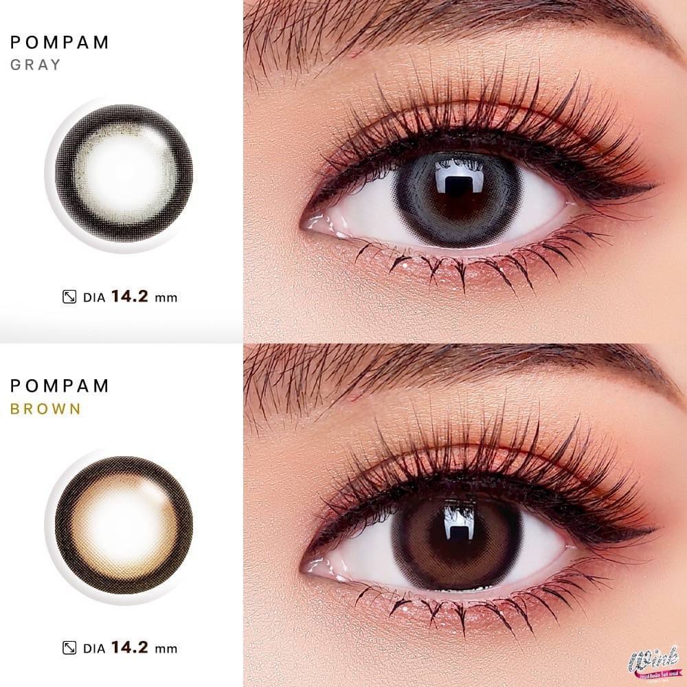 คอนแทคเลนส์🌈Pompam🌈 Chestnut/Gray (Wink) ขนาดมินิ💖 | Shopee Thailand