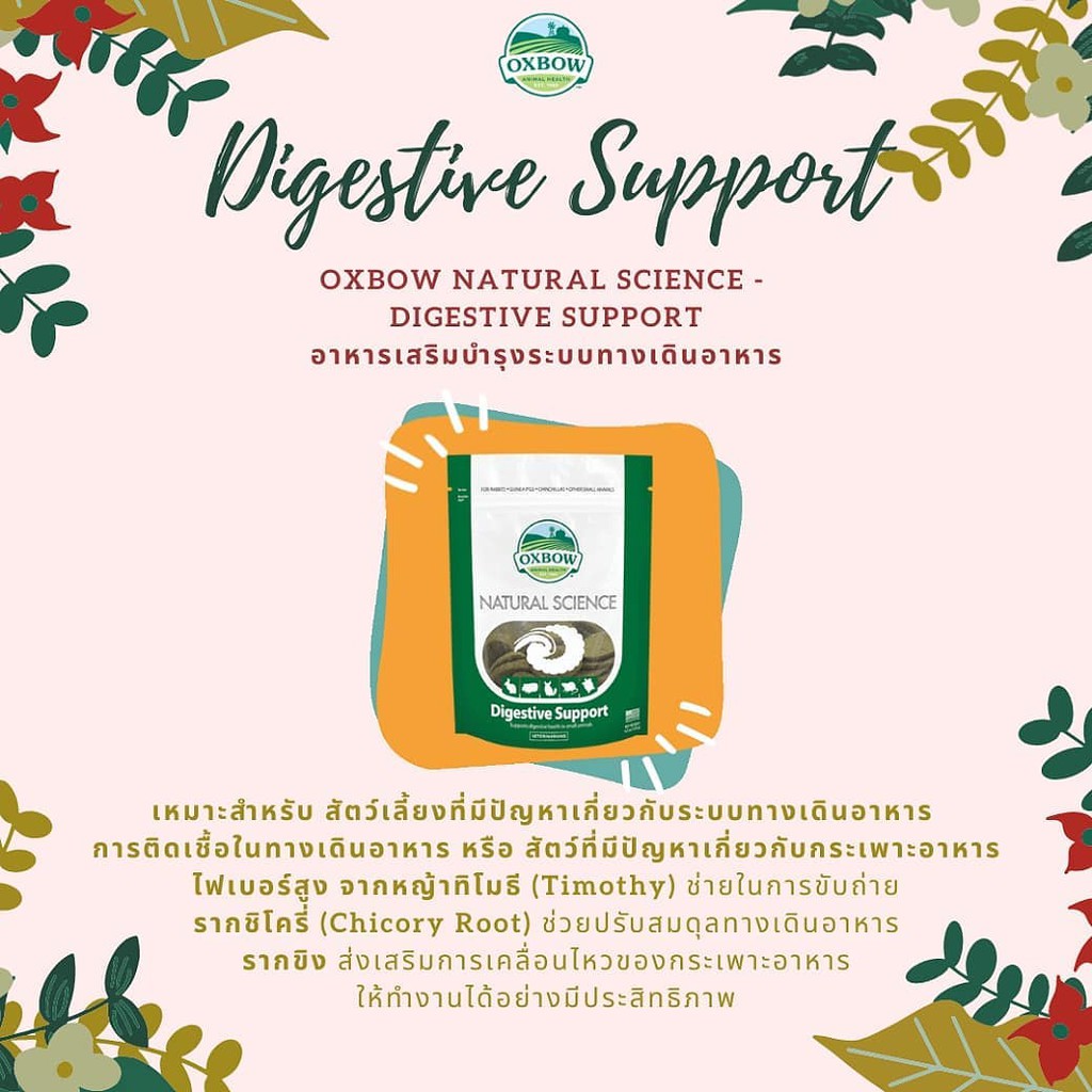 Oxbow Digestive Support ช่วยระบบทางเดินอาหาร กระต่าย แกสบี้ ชินชิล่า 4. ...