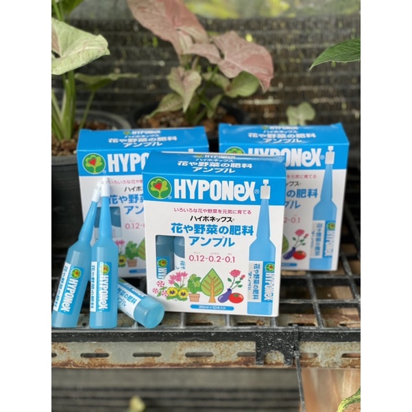 ปุ๋ยปัก hyponex ampoule | Shopee Thailand