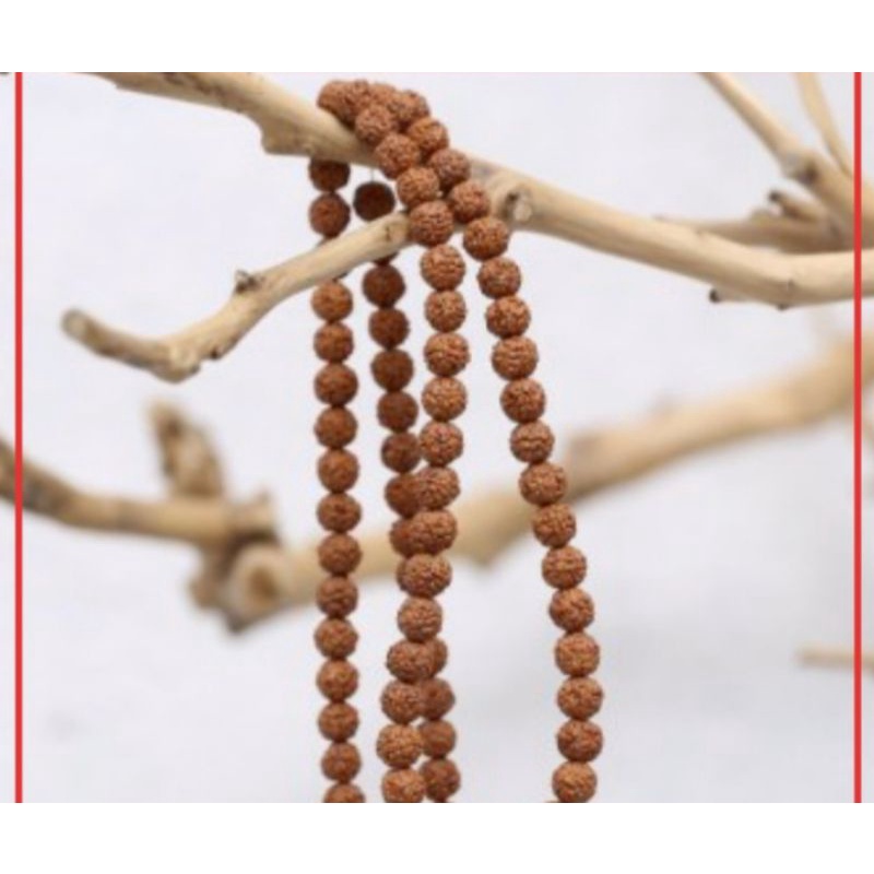 ซื้อ 1 แถม 1 สร้อยคอ Jenitri genitri ของแท้ 7 มิลลิเมตร | Shopee Thailand