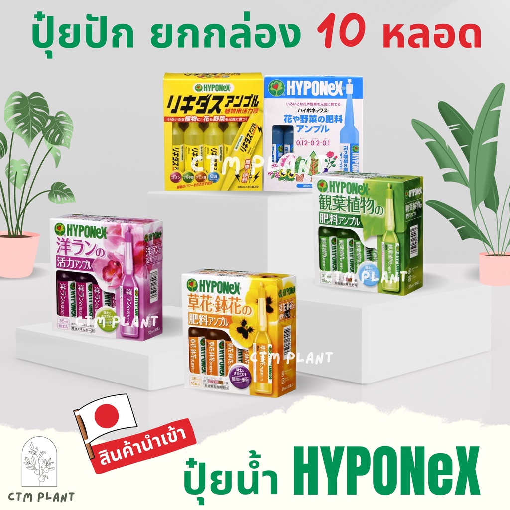 Hyponex ปุ๋ยปัก (Hyponex Ampoule) ยกกล่อง 10 หลอด ปุ๋ยน้ำจากประเทศ ...
