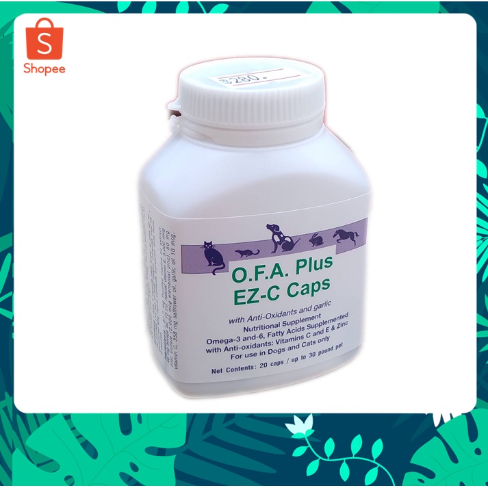 Dermapet OFA Plus EZ-C Caps อาหารเสริมบำรุงผิวหนัง บำรุงขน ยาบำรุงผิว ...