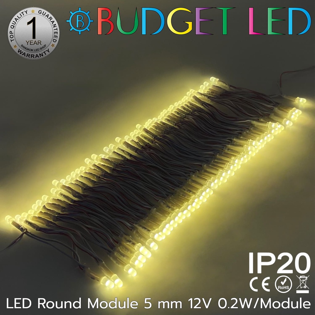 LED Round Module 5mm DC-12V 0.2W/Module แอลอีดีโมดูลหัวกระสุน ให้ความ ...