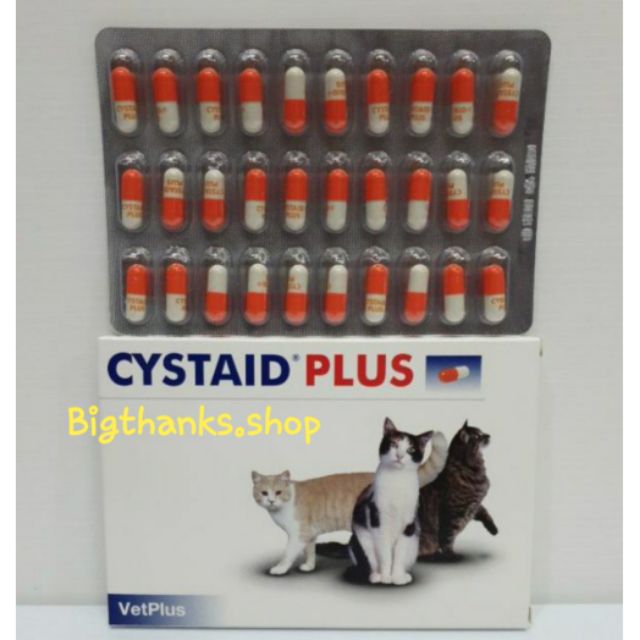 Cystaid plus หมดอายุ 03/2025 30 เม็ด อาหารเสริมโปรตีนสำหรับแมวอายุ 6 ...