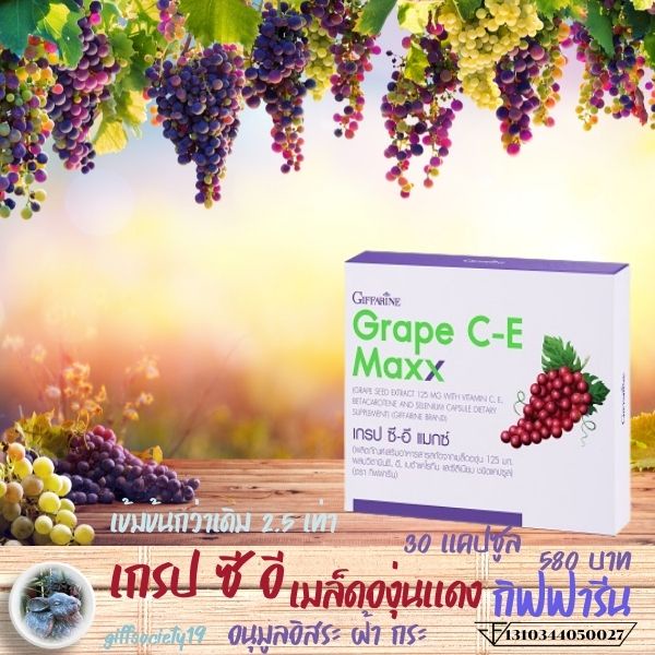 องุ่นแดง เกรปซีอี แม็กซ์ กิฟฟารีน Grape CE Maxx Giffarine ต้านอนุมูลอิสระ ฝ้ากระจุดด่างดำสีผิว ...