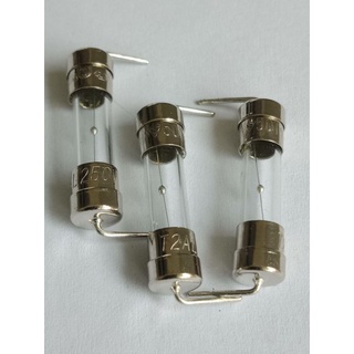 FUSE T2AL 250V ฟิวส์หลอดแก้ว(แพ็ค10ตัว)ขนาด20มิล Slow blow Fuse T2A ...