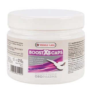 ช้อป สังเวียนไก่ชน ราคาสุดคุ้ม ได้ง่าย ๆ | Shopee Thailand