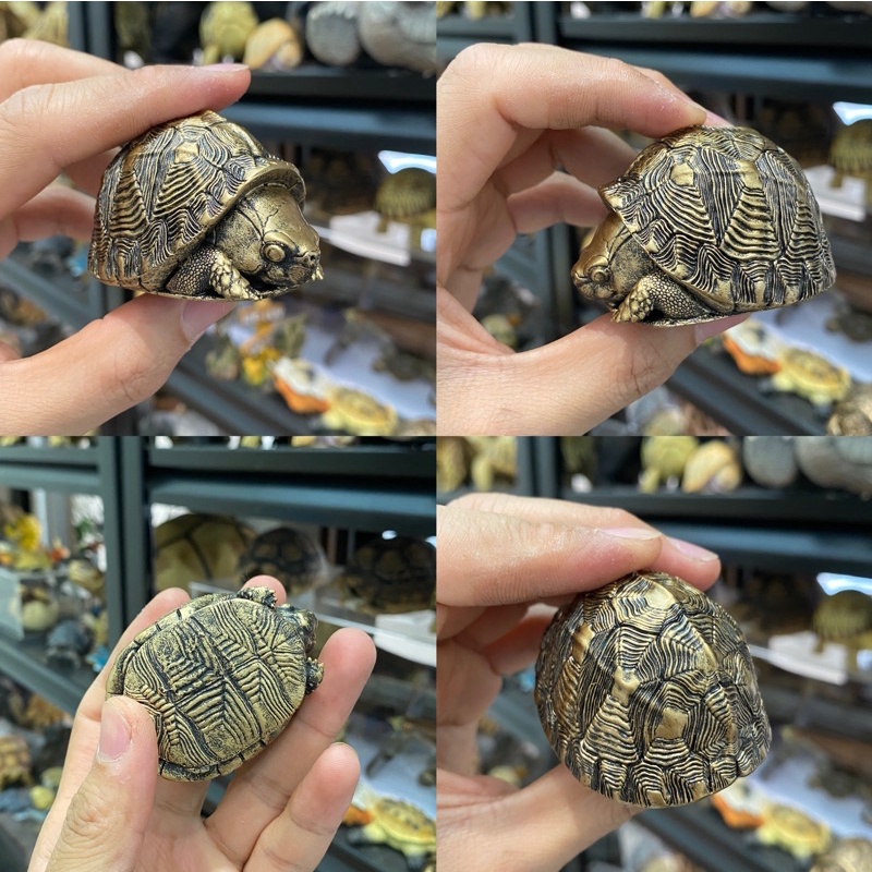 bighead series snipping turtle figurines recast โมเดลเต่าตัวเล็ก ...