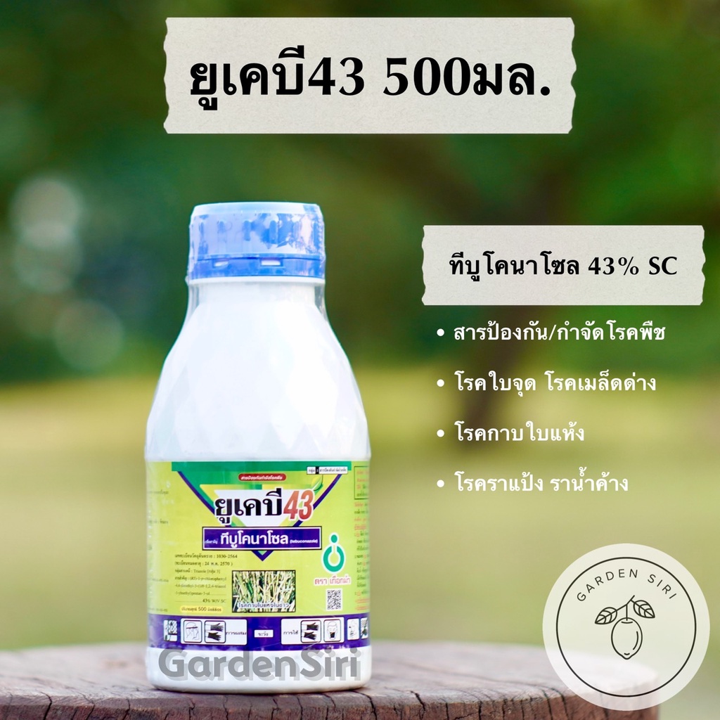 ยูเคบี53 (ทีบูโคนาโซล 43% W/V SC) สารป้องกันกำจัดโรคพืช โรคใบจุด เมล็ดด่าง กาบใบแห้ง ราแป้ง ขนาด ...